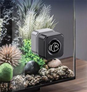 5 Key Tips For Choosing A Magnetic Cleaner For Fish Tanks